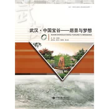 武汉中国宝谷--愿景与梦想 王焰新  书籍