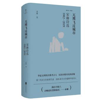 兀鹰飞过城市：宋琳诗选1982-2019