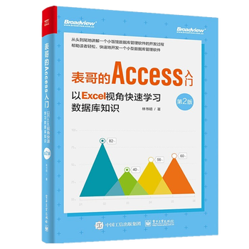 表哥的Access入门：以Excel视角快速学习数据库开发（第2版）博文视点出品
