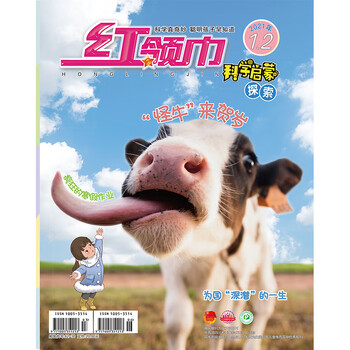 红领巾科学启蒙探索2021年1-2期合刊 期刊杂志