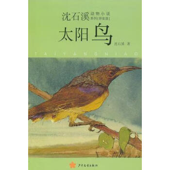 太阳鸟沈石溪 9787532484379