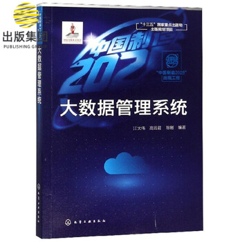 大数据管理系统