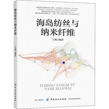 海岛纺丝与纳米纤维 王栋  书籍