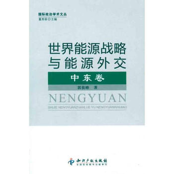 世界能源战略与能源外交·中东卷