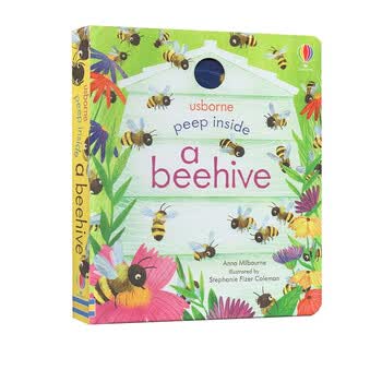 Peep Inside a Beehive