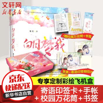 青春文学畅销合辑 白日梦我 定制版