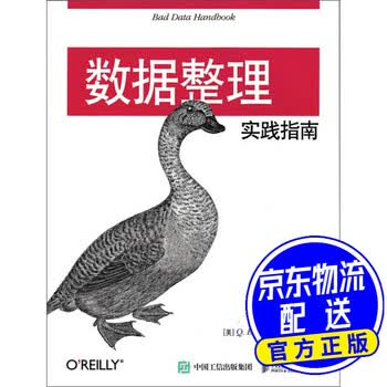 数据整理实践指南(异步图书出品)