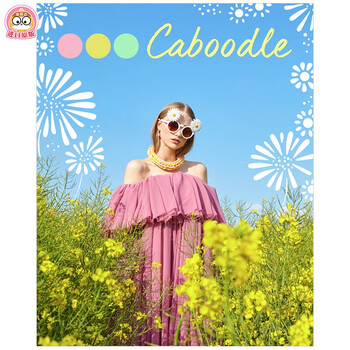 订阅 Caboodle 生活方式杂志 英国英文原版 年订2期