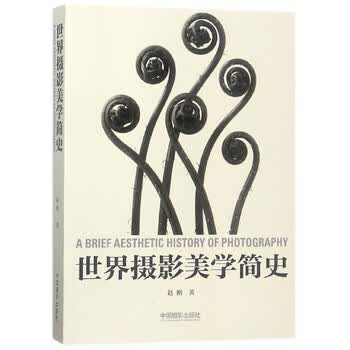 世界摄影美学简史