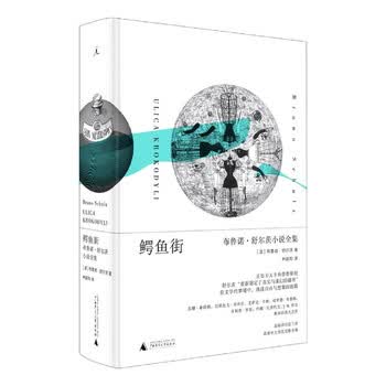 鳄鱼街(布鲁诺·舒尔茨小说全集)(精)