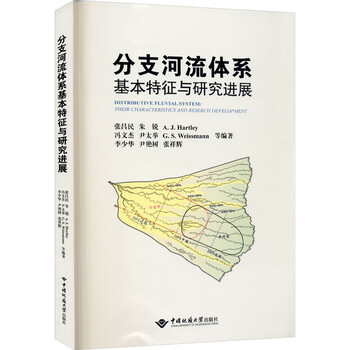 分支河流体系基本特征与研究进展