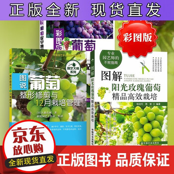 B图解阳光玫瑰葡萄精品高效栽培+图说葡萄整形修剪与12月栽培管理+葡萄促早熟栽培配套技术 全