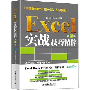Excel实战技巧精粹 第2版 Excel Home 编 书籍