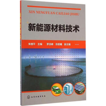 新能源材料技术 朱继平 主编  书籍