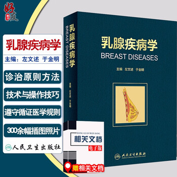 乳腺疾病学 左文述 于金明 主编 9787117253192 肿瘤学 人民卫生出版社