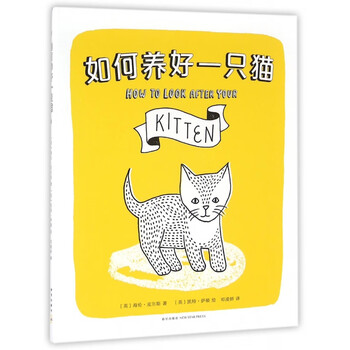 如何养好一只猫(精)