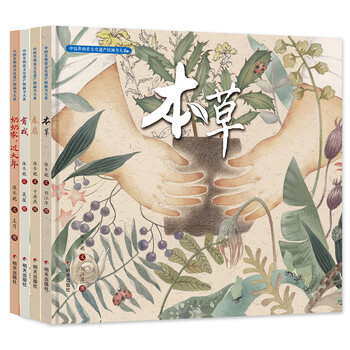 中国非物质文化遗产图书大系（4册套装）