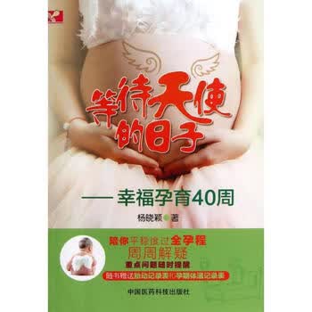 等待天使的日子 杨晓颖 作 书籍