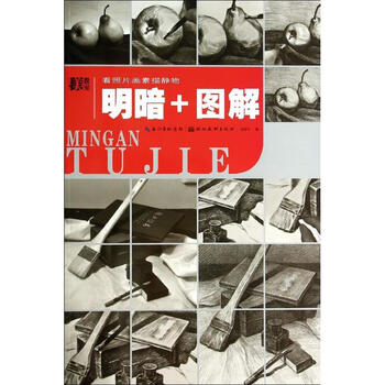 看照片画素描静物 张振宇  书籍