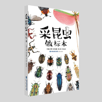 采昆虫 做标本   海峡书局出版社官方直售  博物君推荐