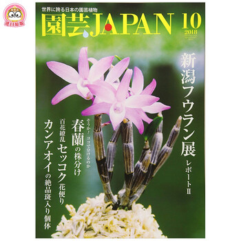 订阅 園芸JAPAN 园艺花艺杂志 日本日文原版 年订12期