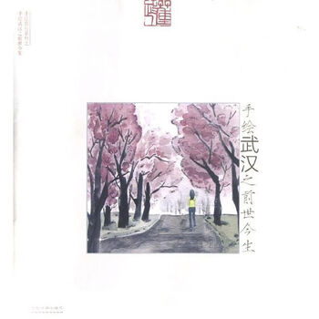 手绘武汉之前世今生 董政 编绘 作 书籍