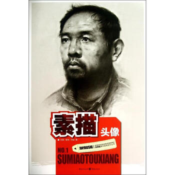 素描头像 王春 等 作 书籍