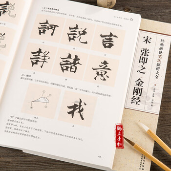 经典碑帖笔法临析 张即之金刚经技法解析教程行楷书法毛笔字帖从零学书法经典字帖临摹毛笔