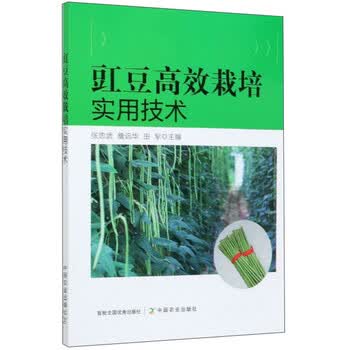 豇豆高效栽培实用技术