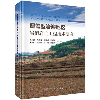 覆盖型岩溶地区岩溶岩土工程技术研究