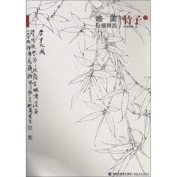 唯美白描精选(2)竹子