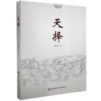 天择 杨柏峰 陕西师范大学出版总社有限公司 9787569518818 小说 书籍