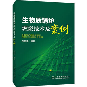 生物质锅炉燃烧技术及案例 孙风平  书籍