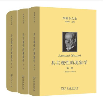 共主观性的现象学(全三卷)(胡塞尔文集)