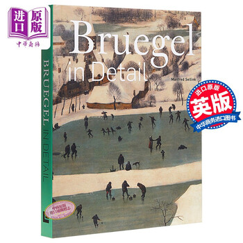 勃鲁盖尔细节 英文原版 bruegel in detail