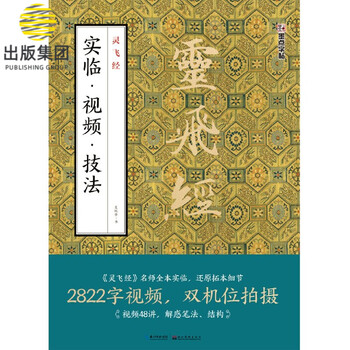 灵飞经实临视频技法