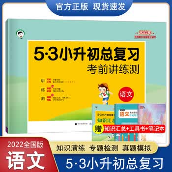 2022年53小升初总复习试卷语文数学英语全国人教版小升初真题卷六年级上下册必刷题小学升初中知识汇总 语文