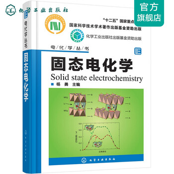 电化学丛书--固态电化学
