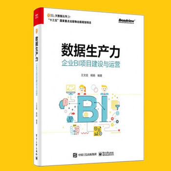 数据生产力：企业BI项目建设与运营