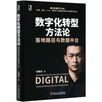 数字化转型方法论 落地路径与数据中台  精 马晓东