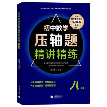 初中数学压轴题精讲精练八年级初二数学同步专项训练练习题知识大全难度大题8年级上下册辅导上海教育出版社