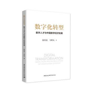 数字化转型：数字人才与中国数字经济发展 数字经济 数字人才 经济学理论 人工智能 信息技术