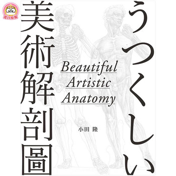 【现货】 美术解剖图 北星图书籍美术解剖图小田隆 港台原版 素描绘画技法
