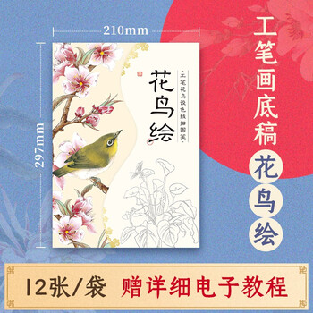 工笔花鸟设色线描图笺  花鸟绘