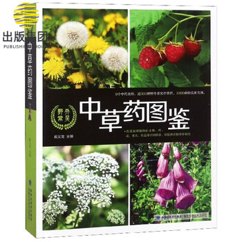 野外常见中草药图鉴
