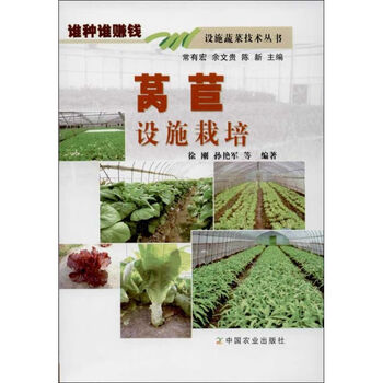 莴苣设施栽培