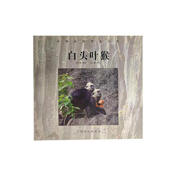 中国珍稀野生动物——白头叶猴 摄影   图书