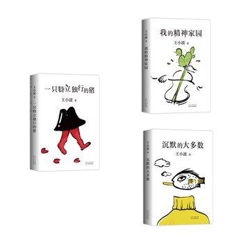 王小波杂文精选套（全3册）