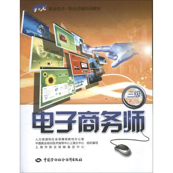 电子商务师(第2版)三级