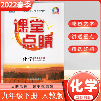 2022版 课堂点睛 九年级下册化学 人教版